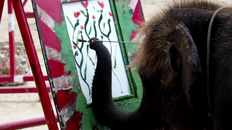 Perek Shira Video Series – Elephants – The Jewish Center for Science