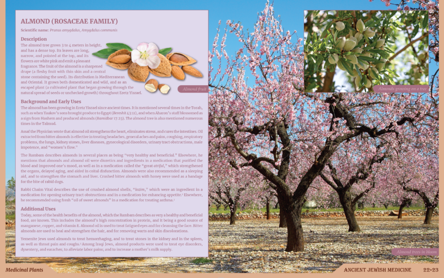 Ancient Jewish Medicine – The Jewish Center for Science