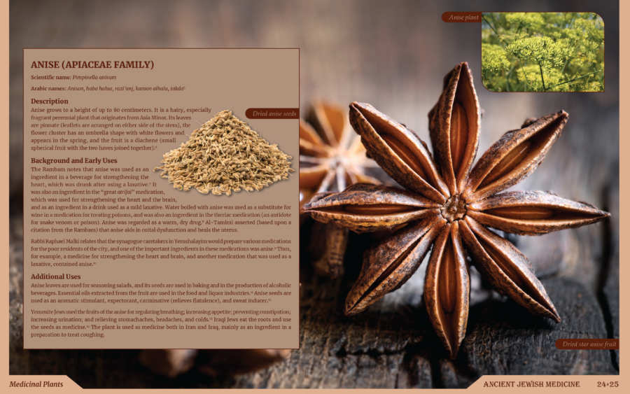 Ancient Jewish Medicine – The Jewish Center for Science