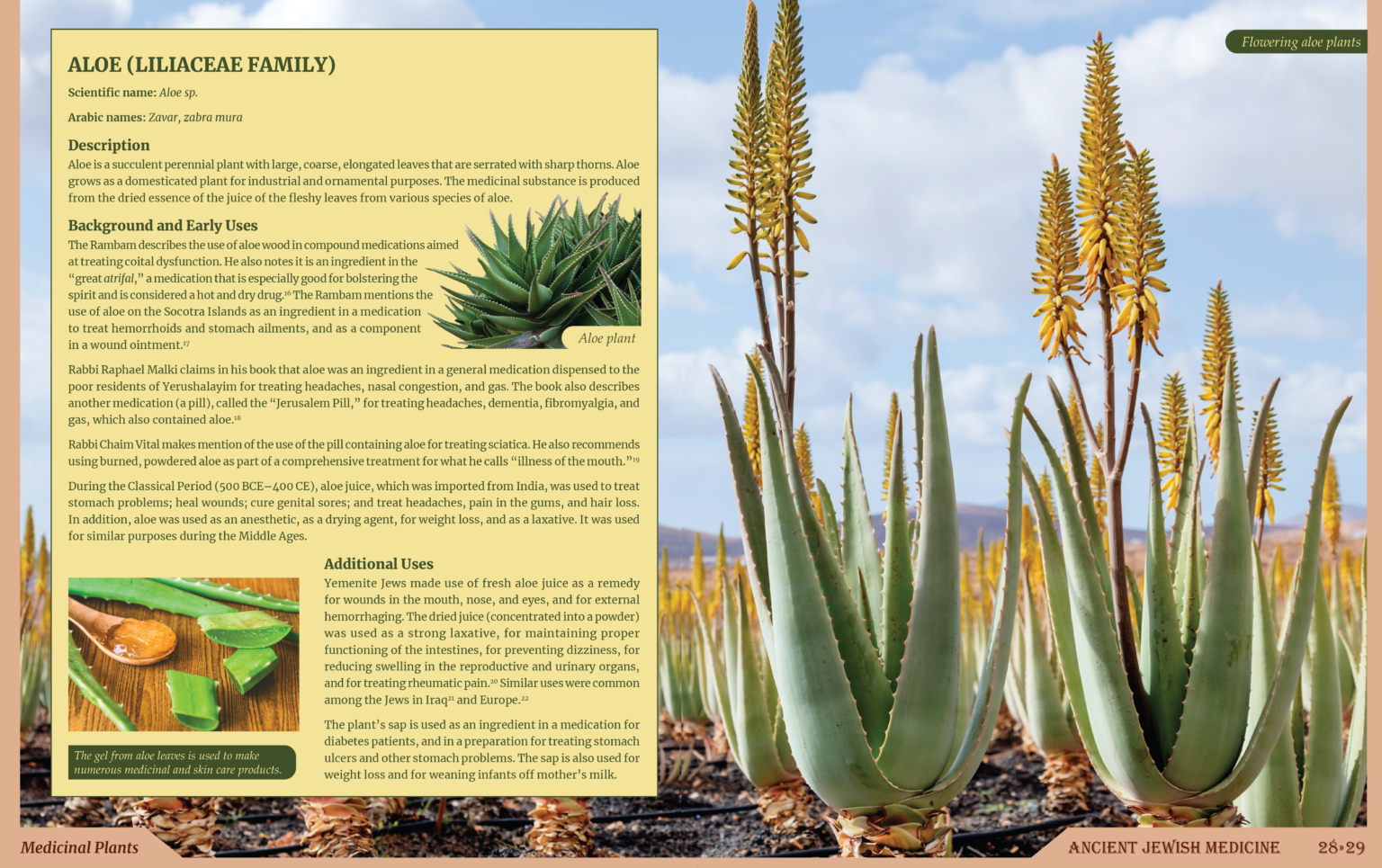 Ancient Jewish Medicine – The Jewish Center for Science