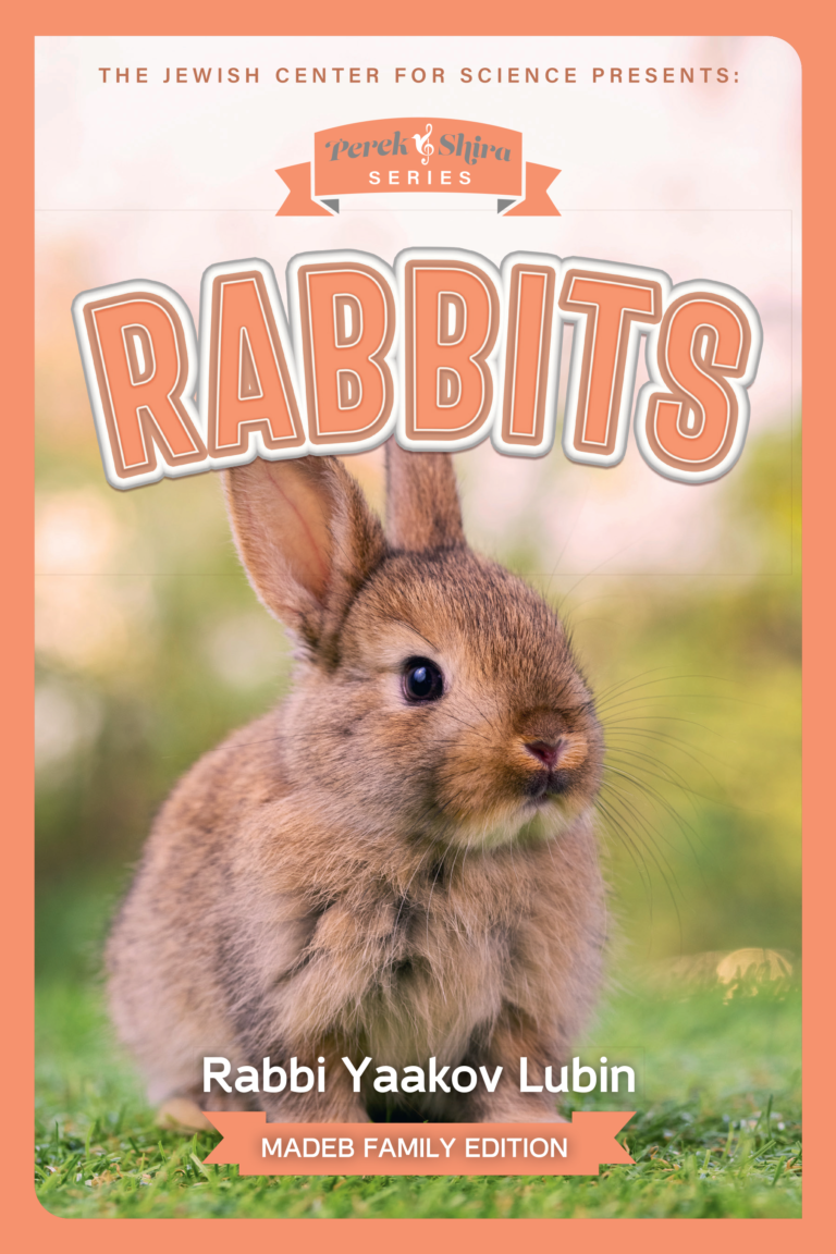 Perek Shira Rabbits Book – The Jewish Center for Science