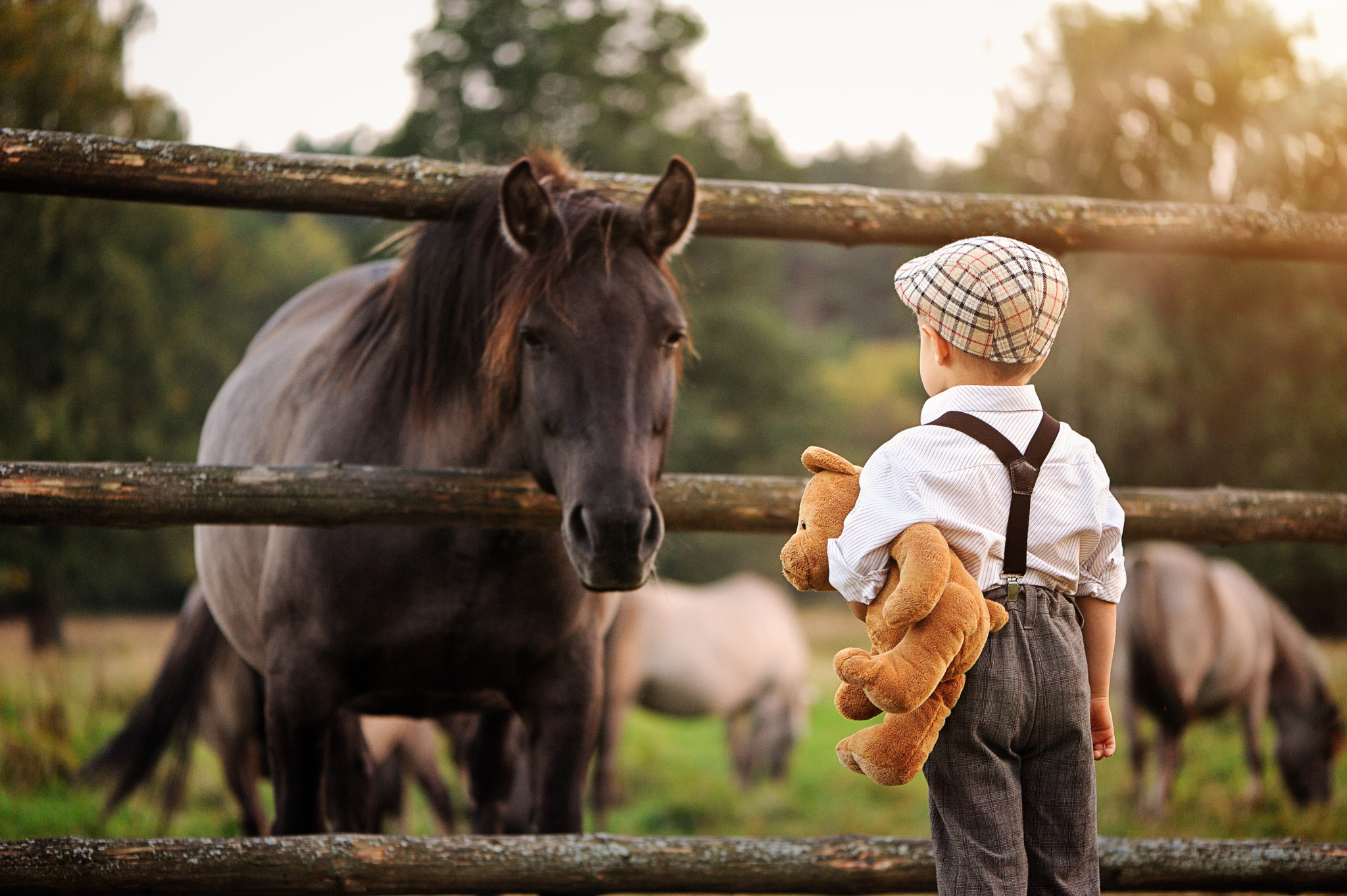 Perek Shira Video Series – Horses – The Jewish Center for Science
